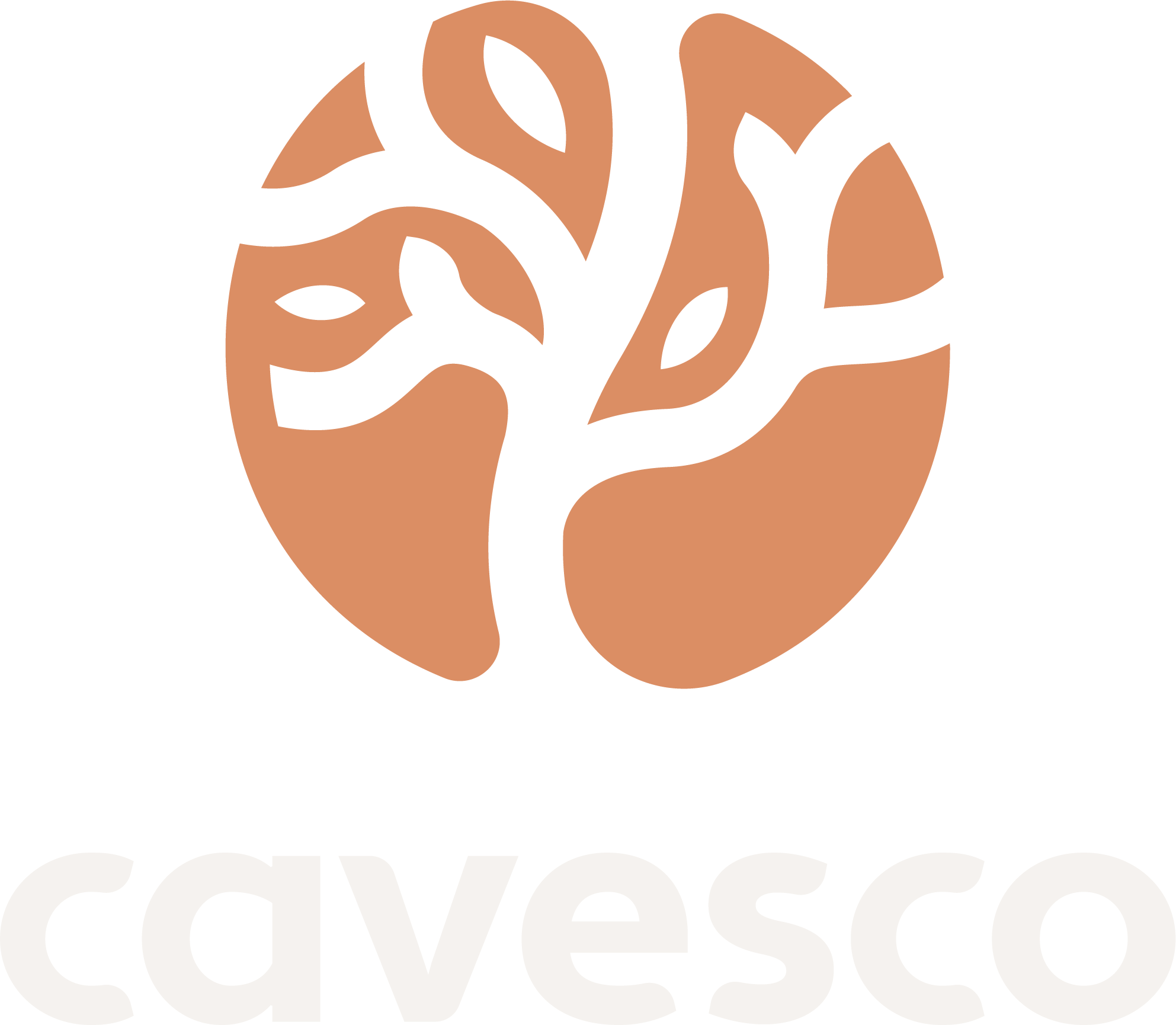 de basis voor groei | Cavesco